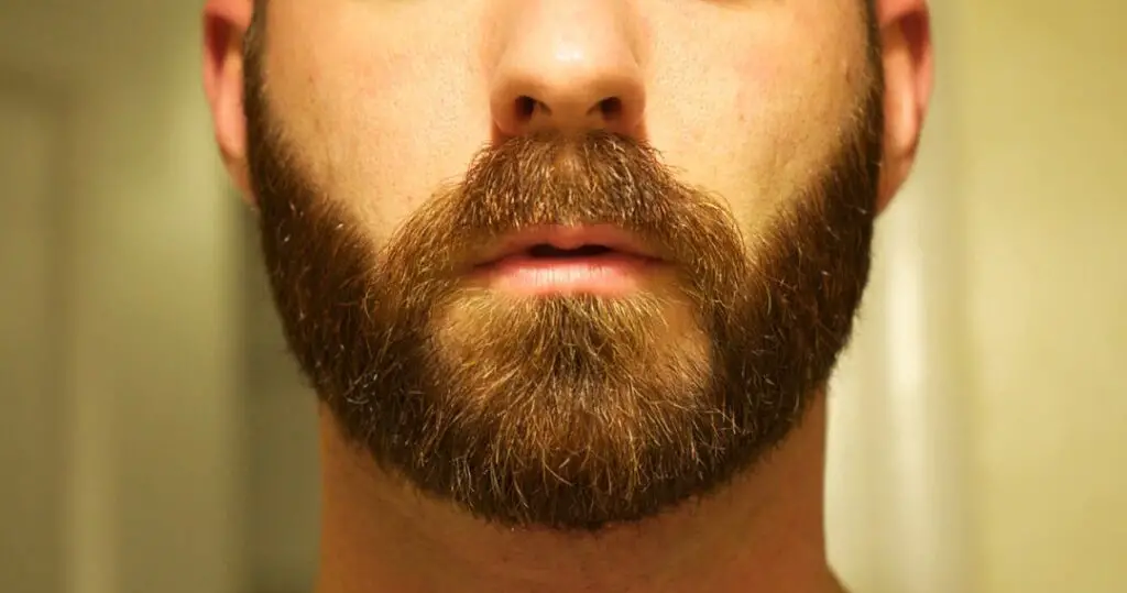 Top 5 Beard Length Chart: Finding Your Ideal Style
