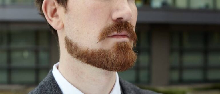 Beard Styles - reviewjustformenbeard.com